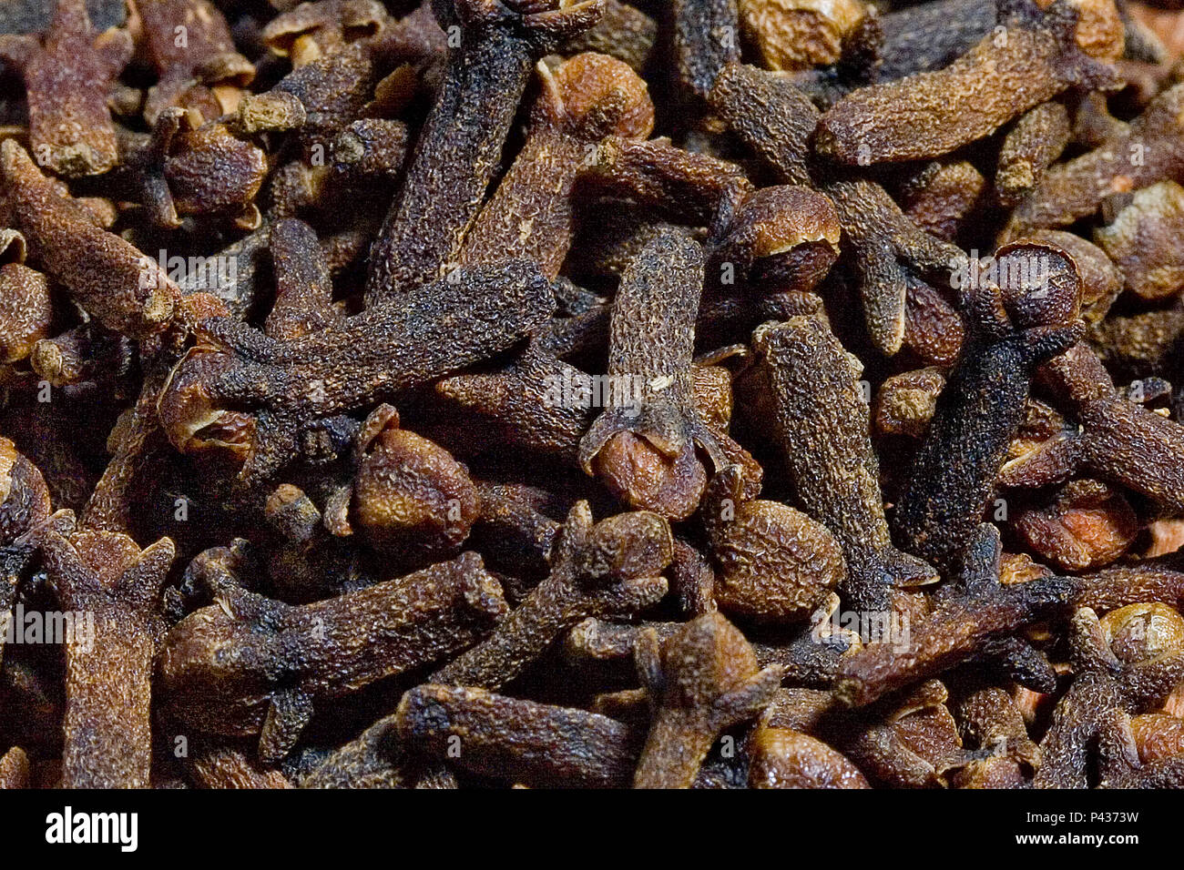 Cravo hi-res stock photography and images - Alamy