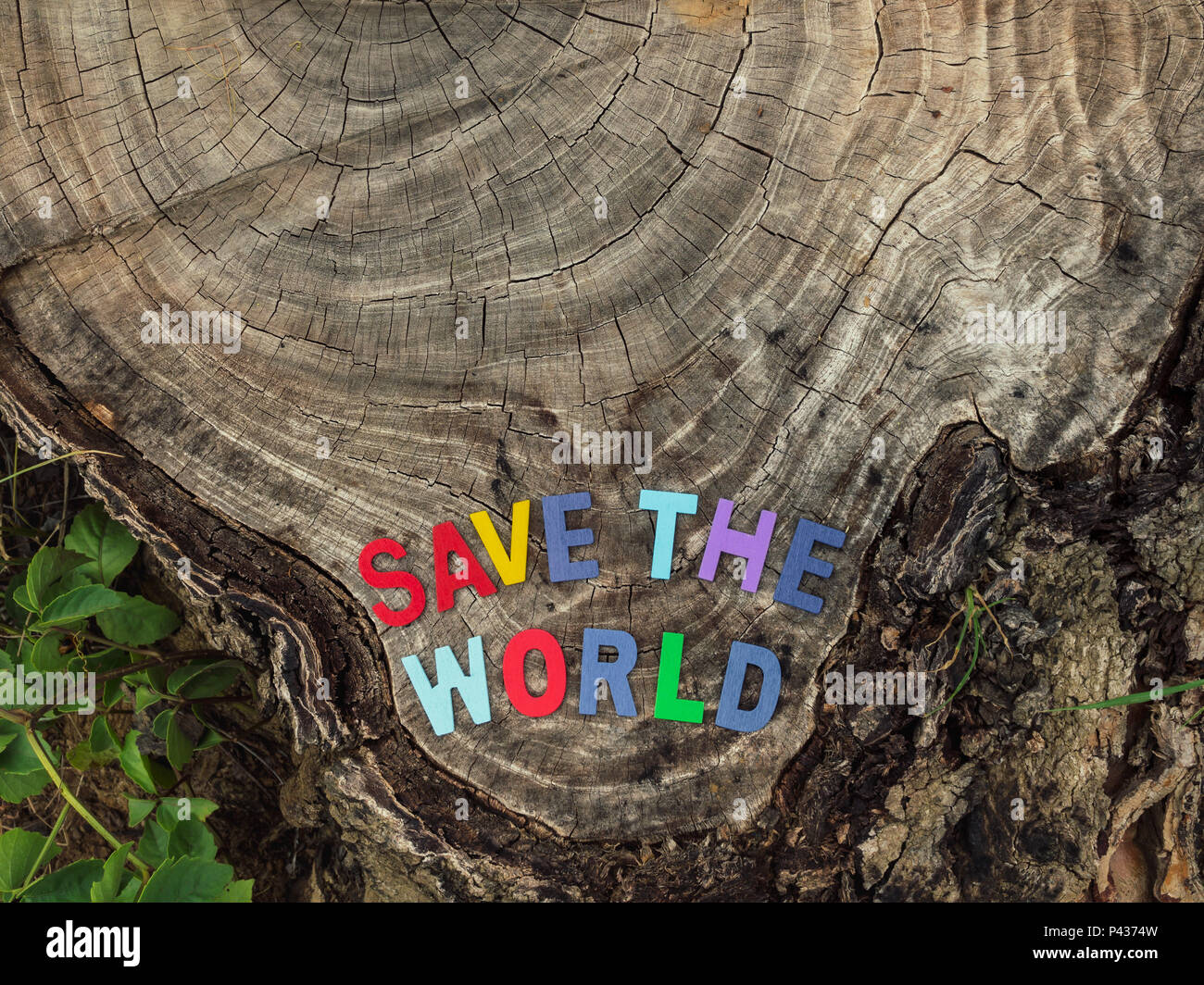 “Save The Word” Text on Stump. Save Earth and Environment, Ecology ...