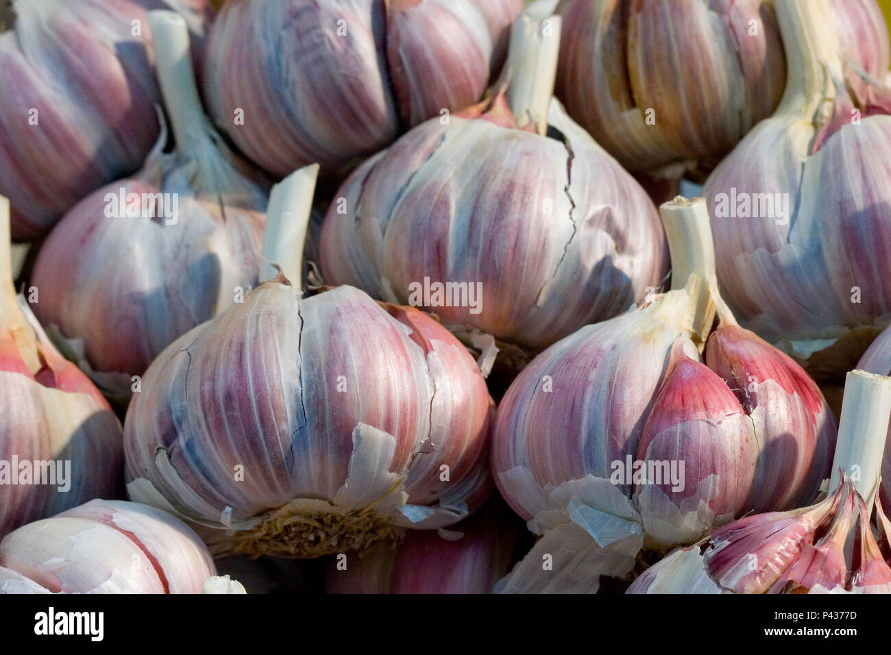 Alhos hi-res stock photography and images - Alamy