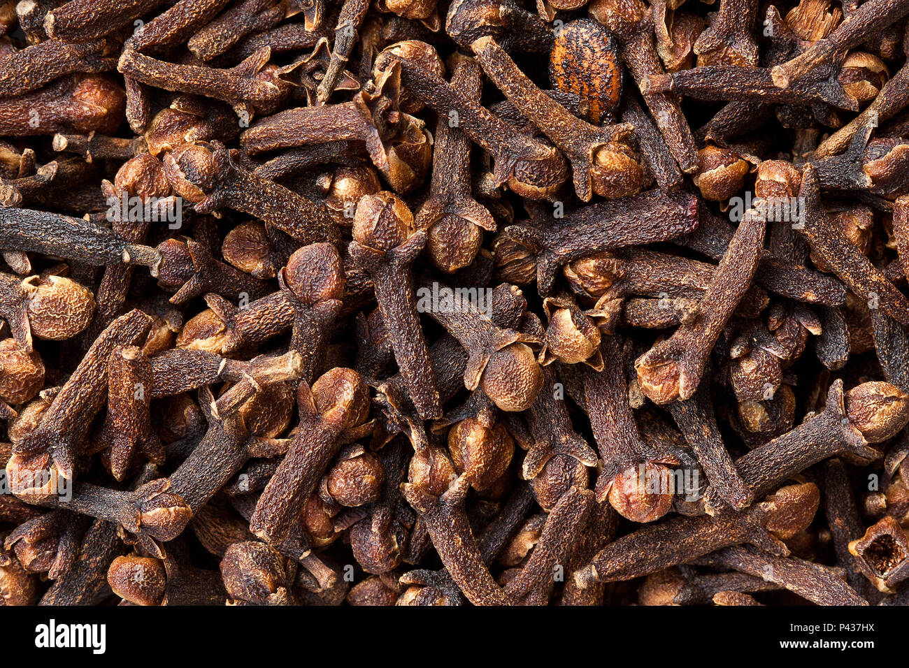 Cravo High Resolution Stock Photography and Images - Alamy