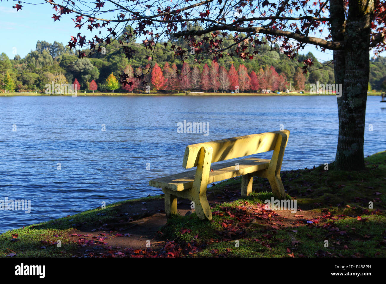 Imagnes do Outono no Lago São Bernardo em São Francisco de Paula-RS ...