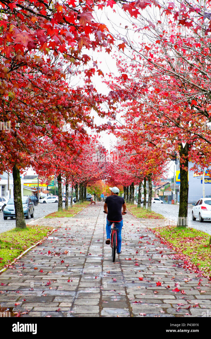 Imagnes do Outono no Lago São Bernardo em São Francisco de Paula-RS ...