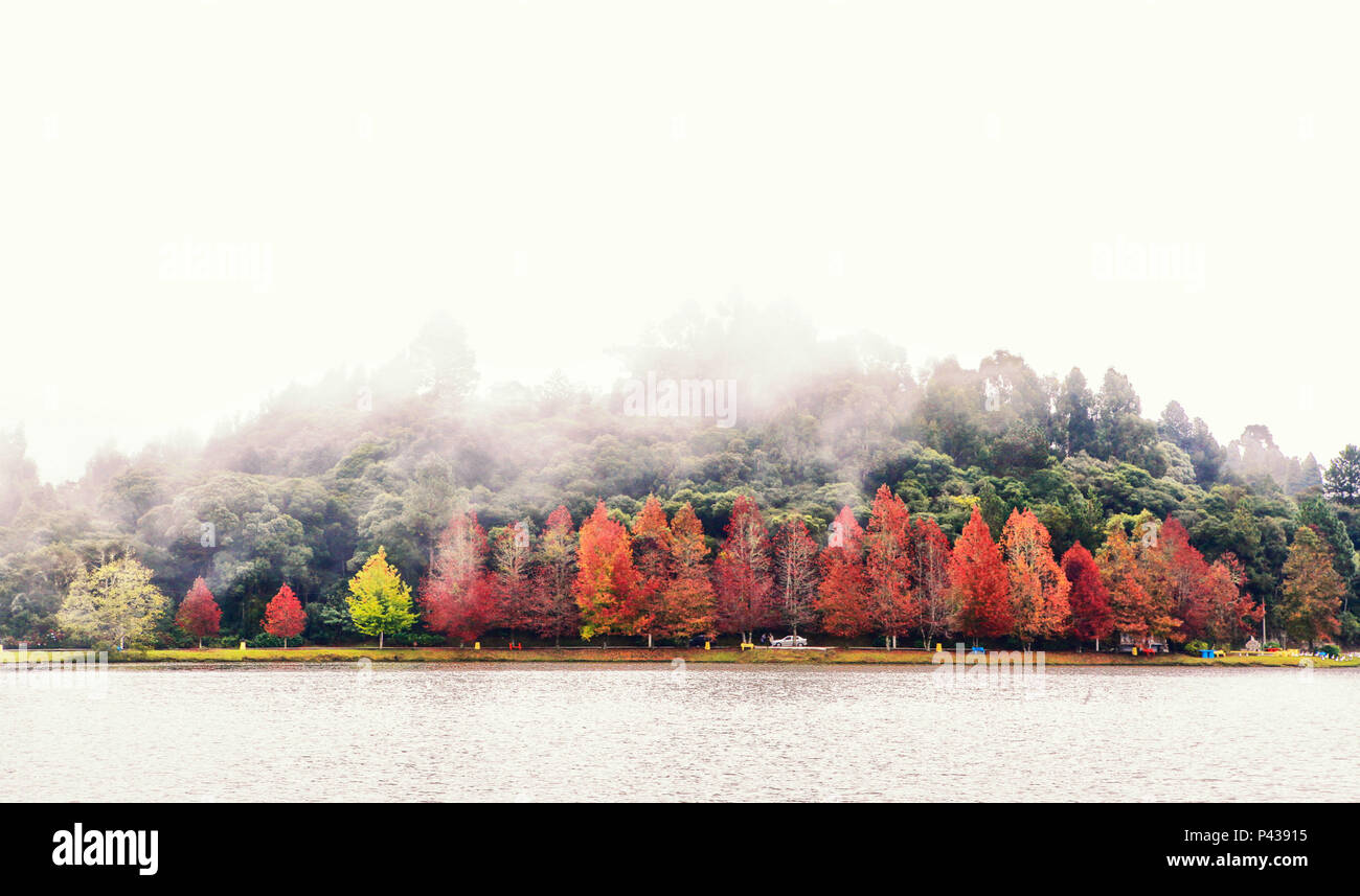 Lago sao bernardo hi-res stock photography and images - Alamy