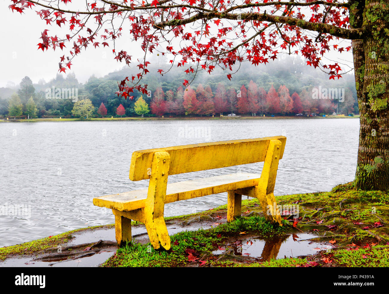Lago sao bernardo hi-res stock photography and images - Alamy