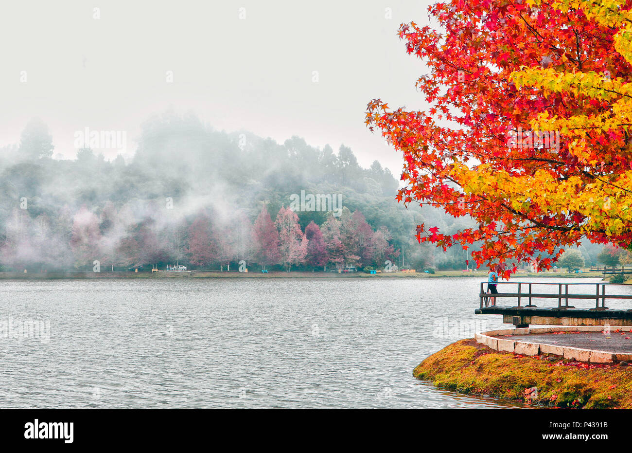 Lago sao bernardo hi-res stock photography and images - Alamy