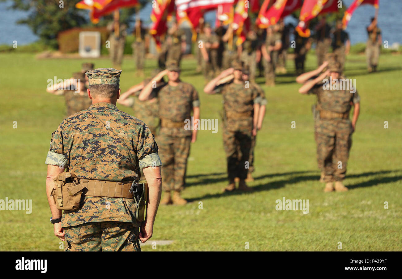 U.S Marines and Sailors with 2nd Marine Logistics Group (MLG) hold a ...