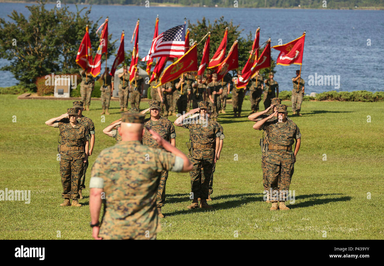 U.S Marines and Sailors with 2nd Marine Logistics Group (MLG) hold a ...