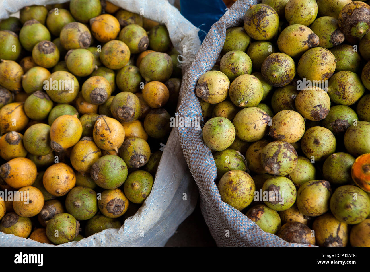 Tucum‹, fruto muito presente na culin‡ria amaz™nica. Mercado municipal ...