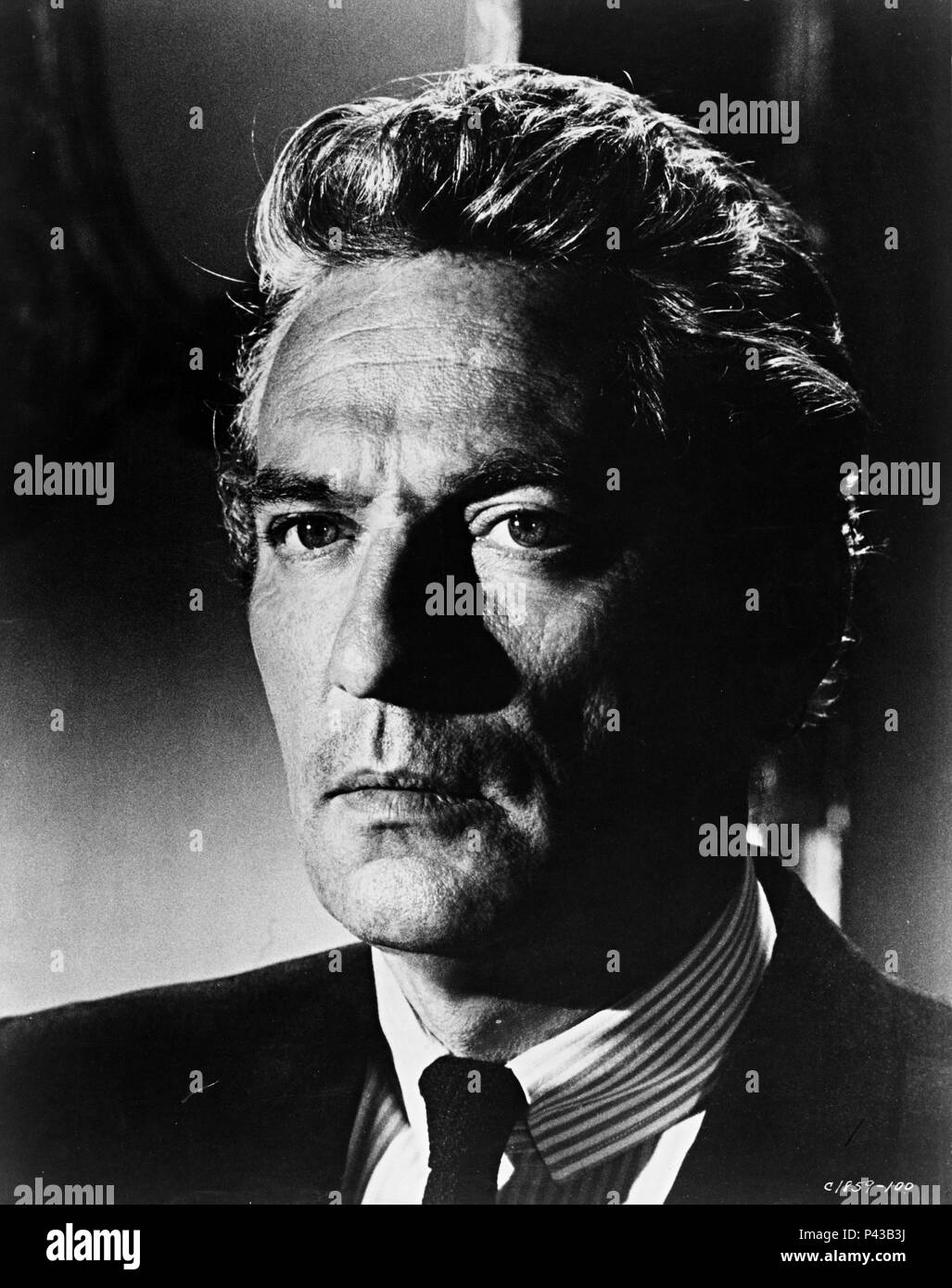 Lylah hi-res stock photography and images - Alamy