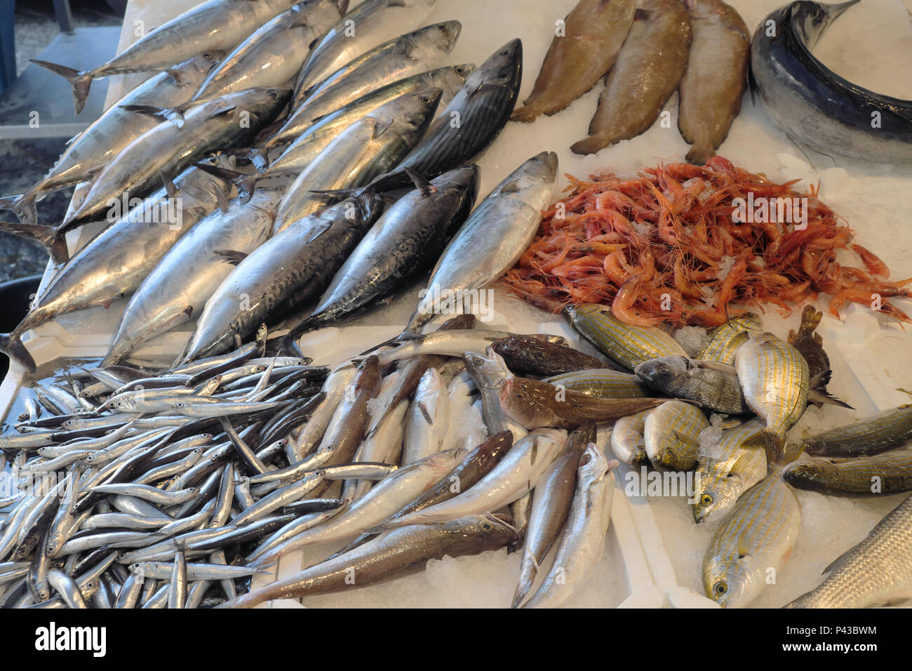 the fish market in sorrento on the bay of naples Italy Stock Photo - Alamy