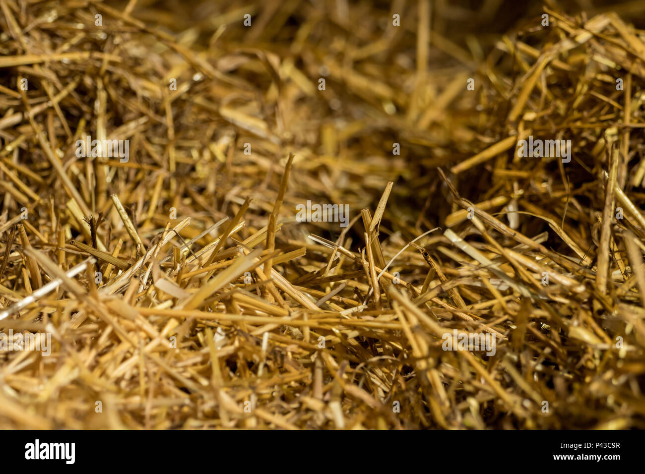 Pile of straw hi-res stock photography and images - Alamy