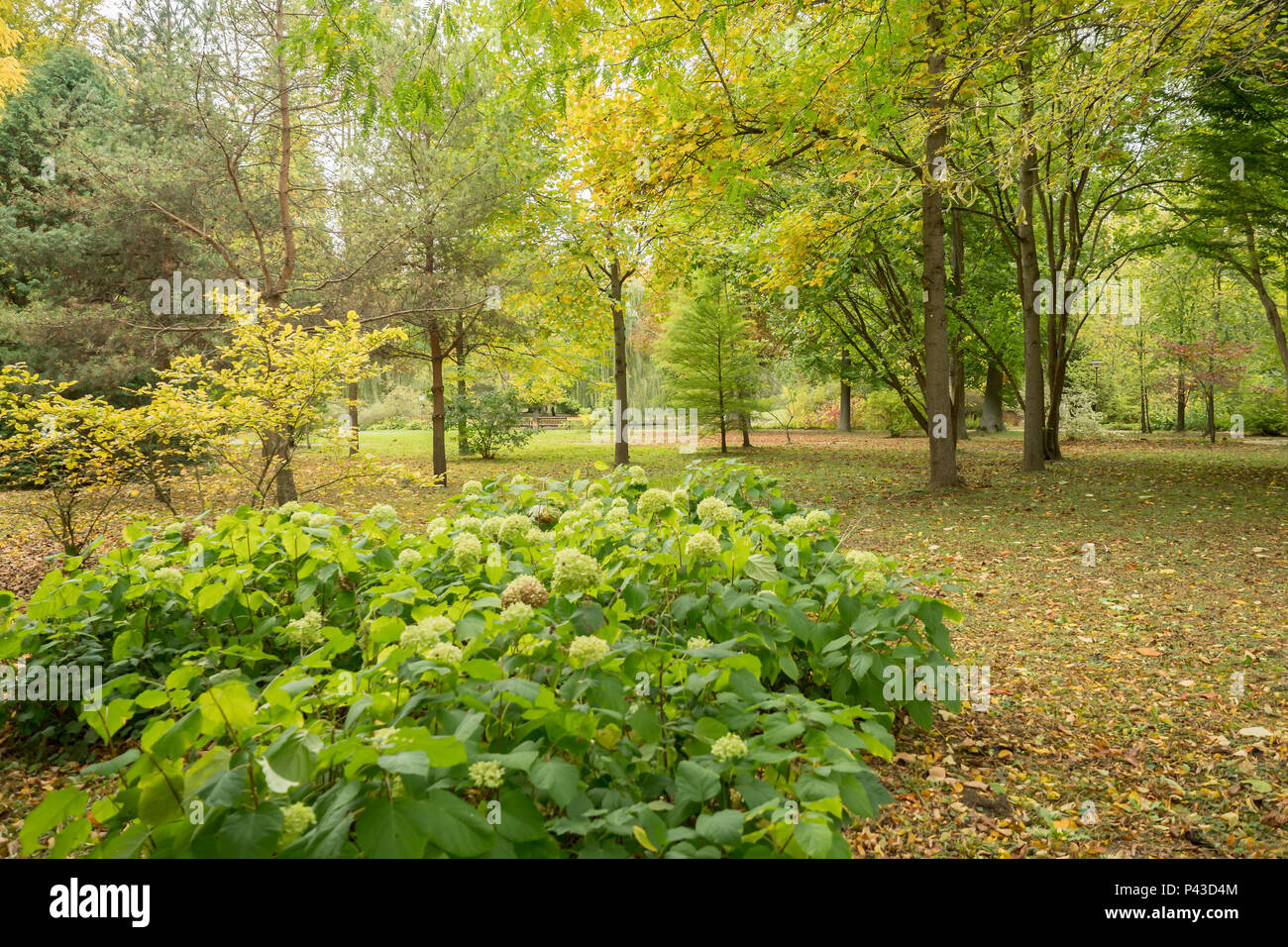 Park without people hi-res stock photography and images - Alamy
