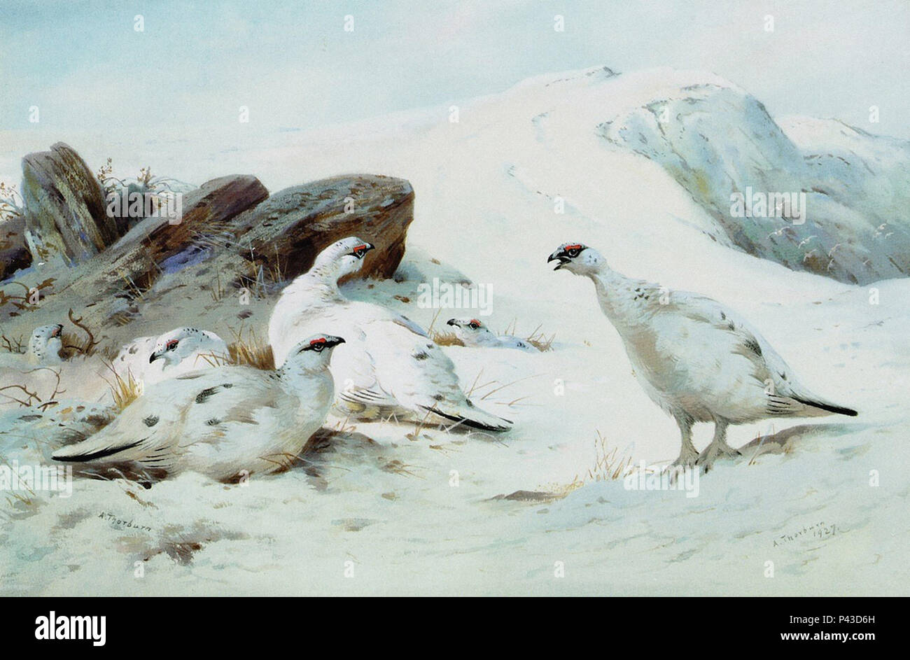 Archibald thorburn snow hi-res stock photography and images - Alamy