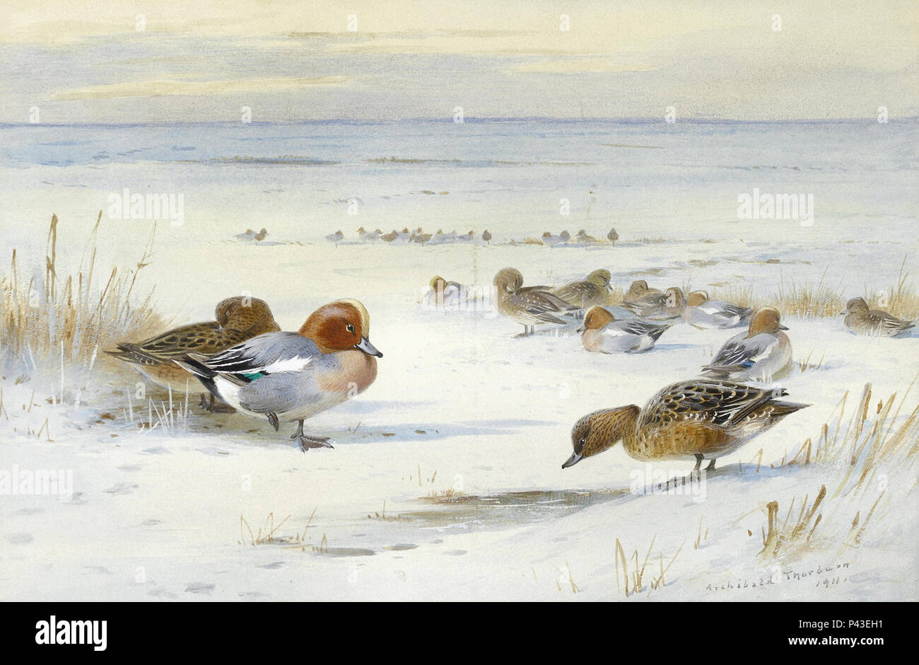 Archibald thorburn snow hi-res stock photography and images - Alamy