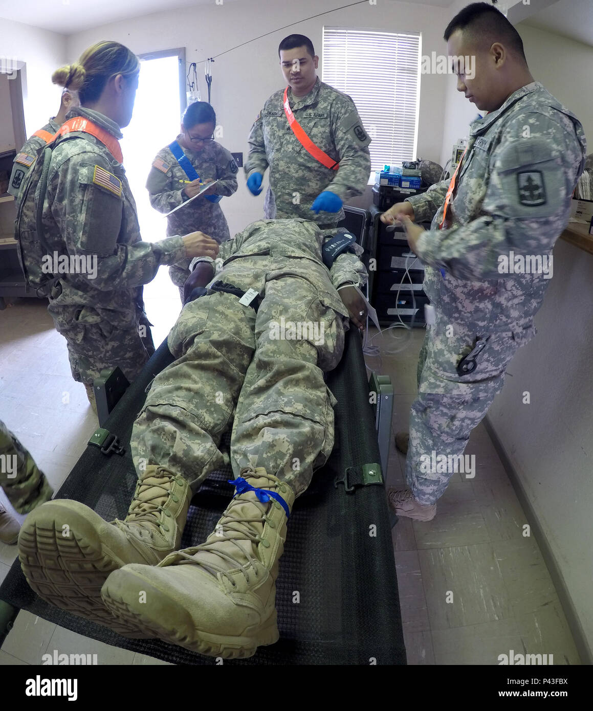 Soldiers of Charlie Company, 29th Brigade Support Battalion participate ...