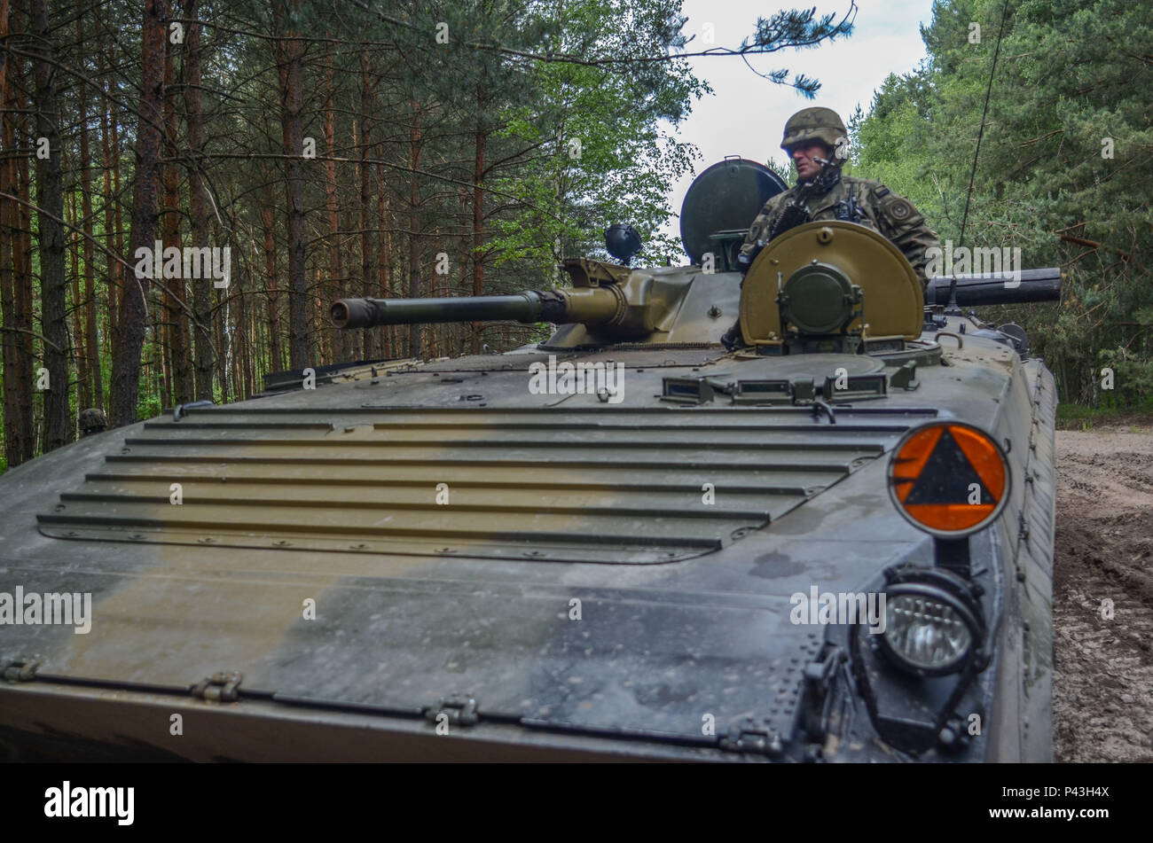 The tank commander looks over the temporary halt position during ...