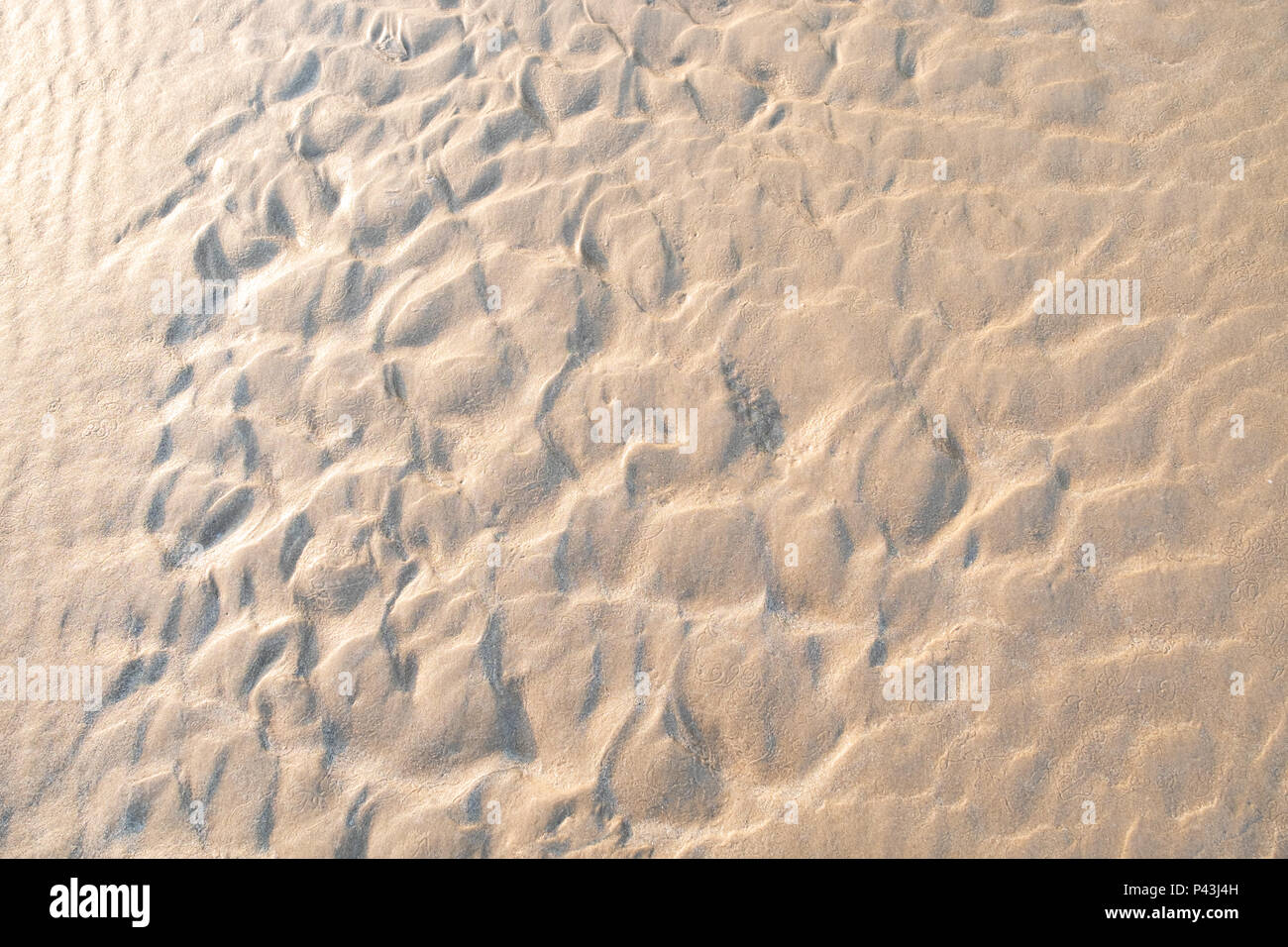 Wet sand beach texture for background Stock Photo - Alamy