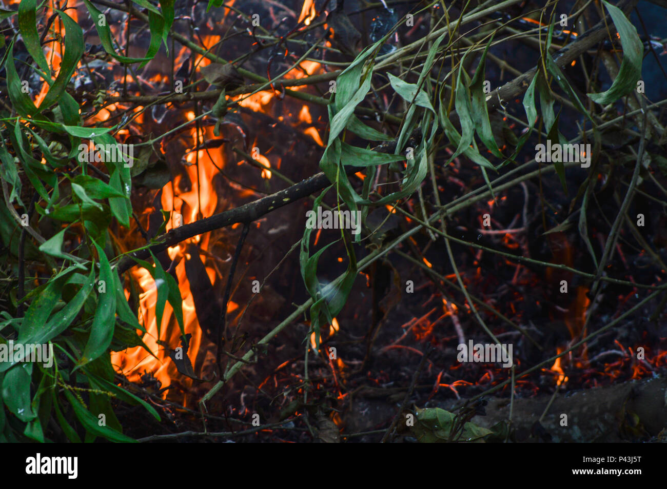 Close up of fire damage hi-res stock photography and images - Alamy