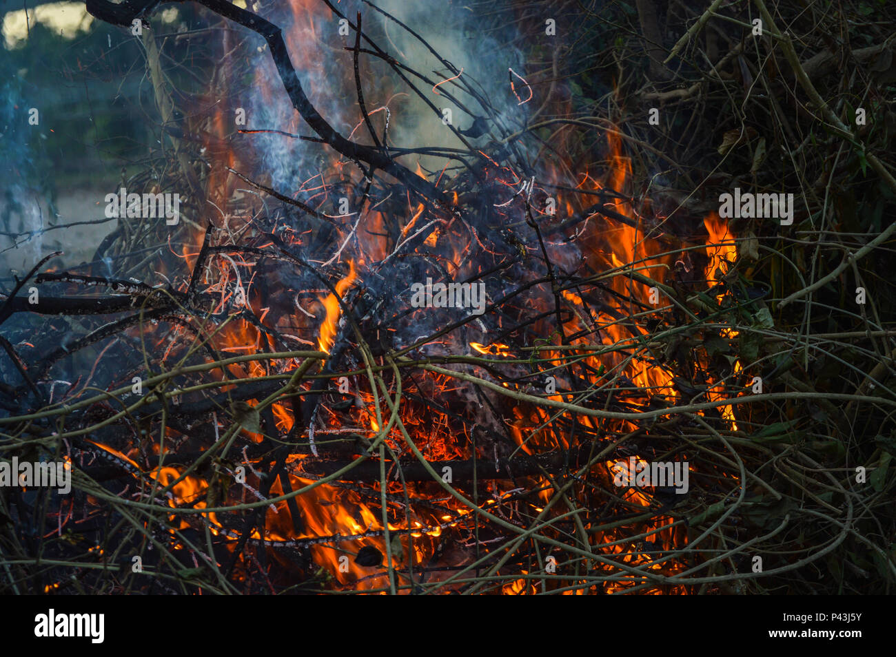 Fire burning tree branches hi-res stock photography and images - Alamy