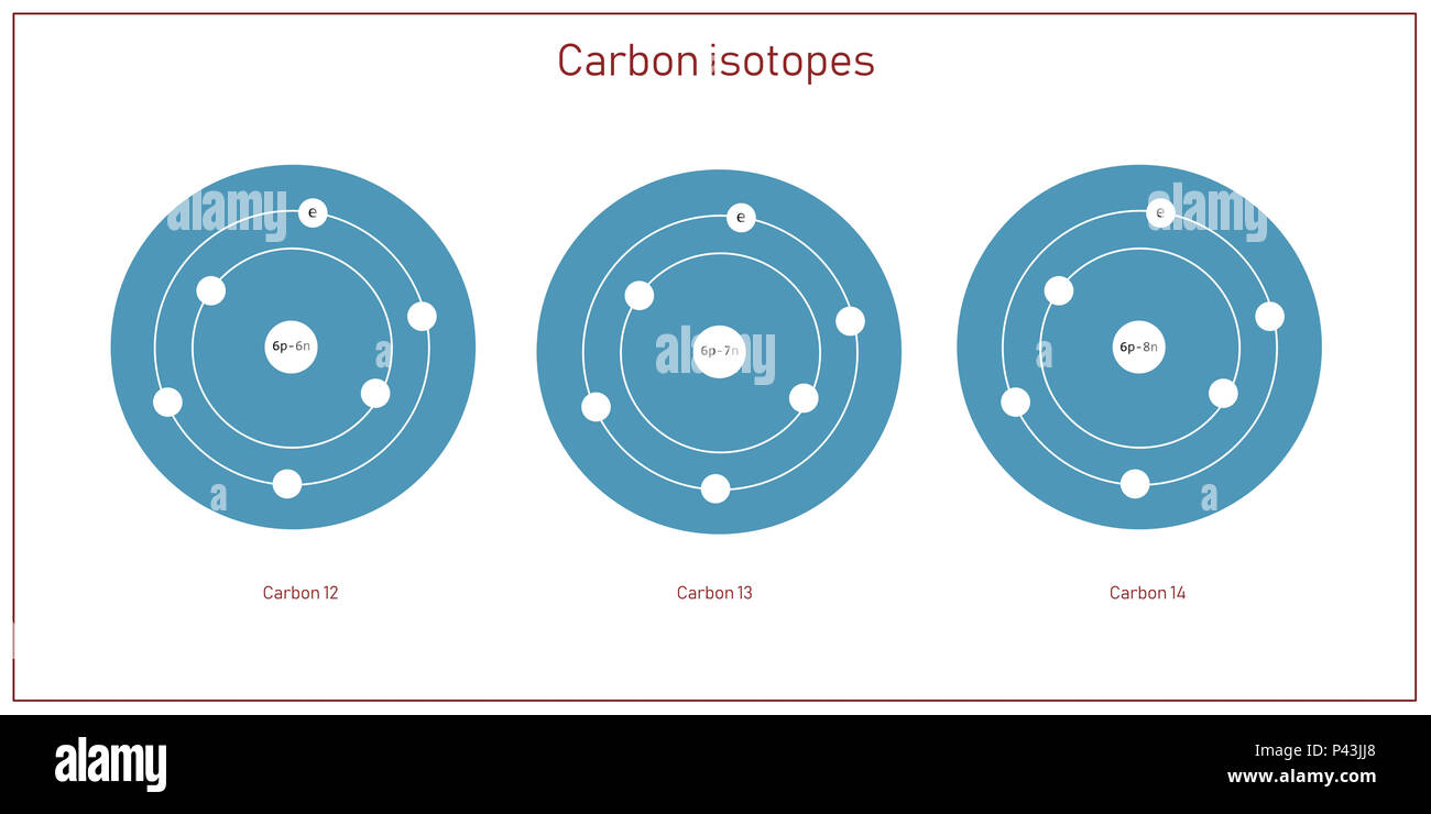 carbon isotopes atomic structure - chemical elements illustration ...