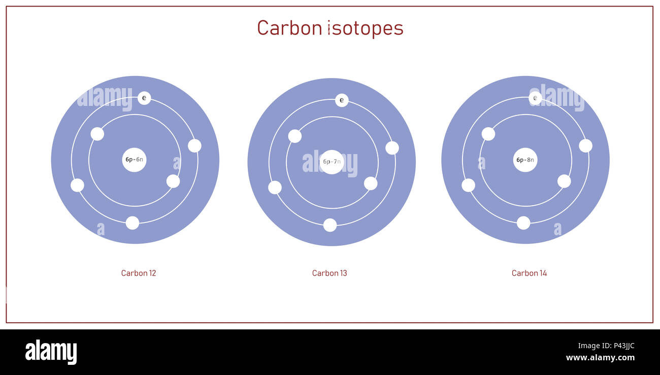 carbon isotopes atomic structure - chemical elements illustration ...