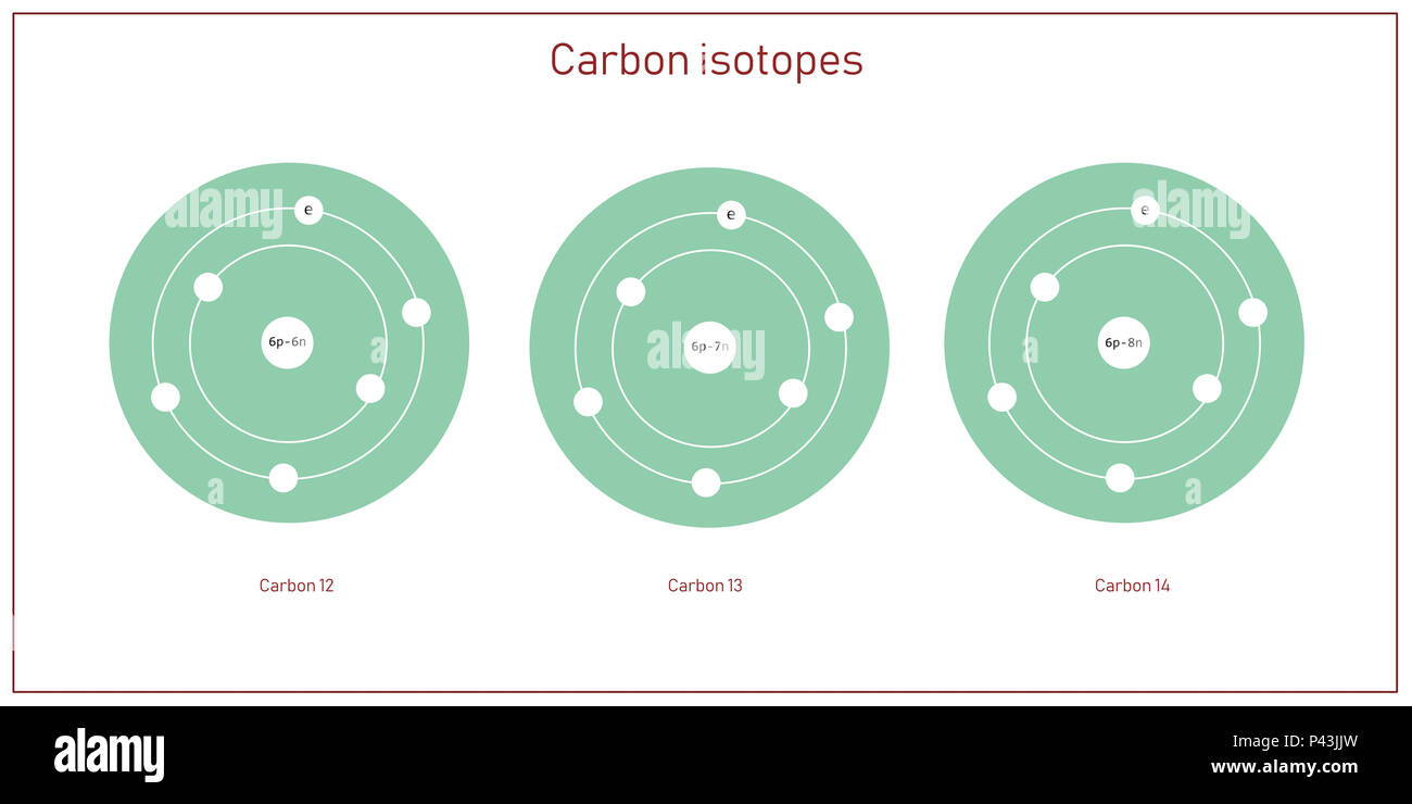 carbon isotopes atomic structure - chemical elements illustration ...