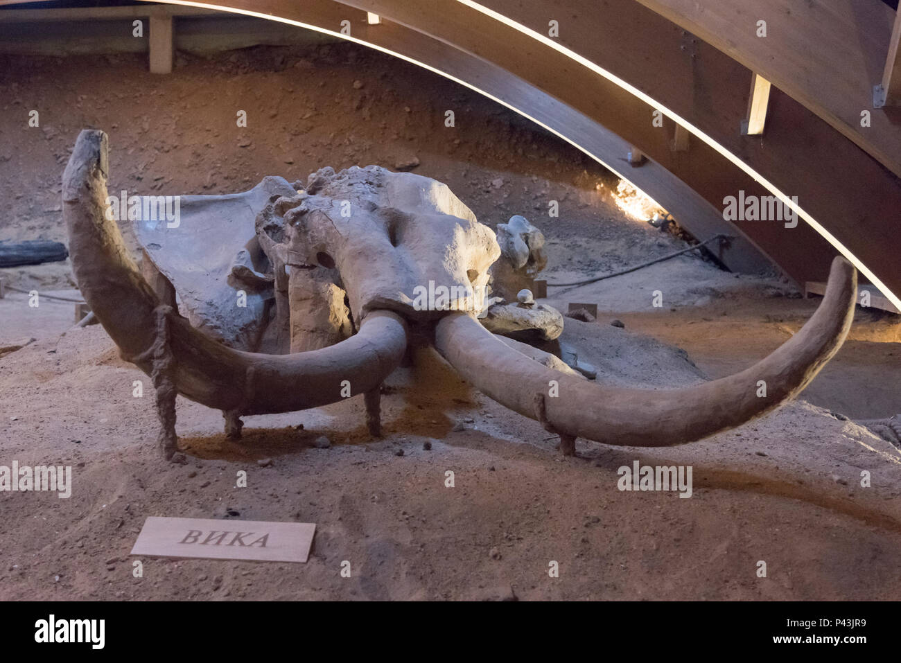 Viminacium hi-res stock photography and images - Alamy