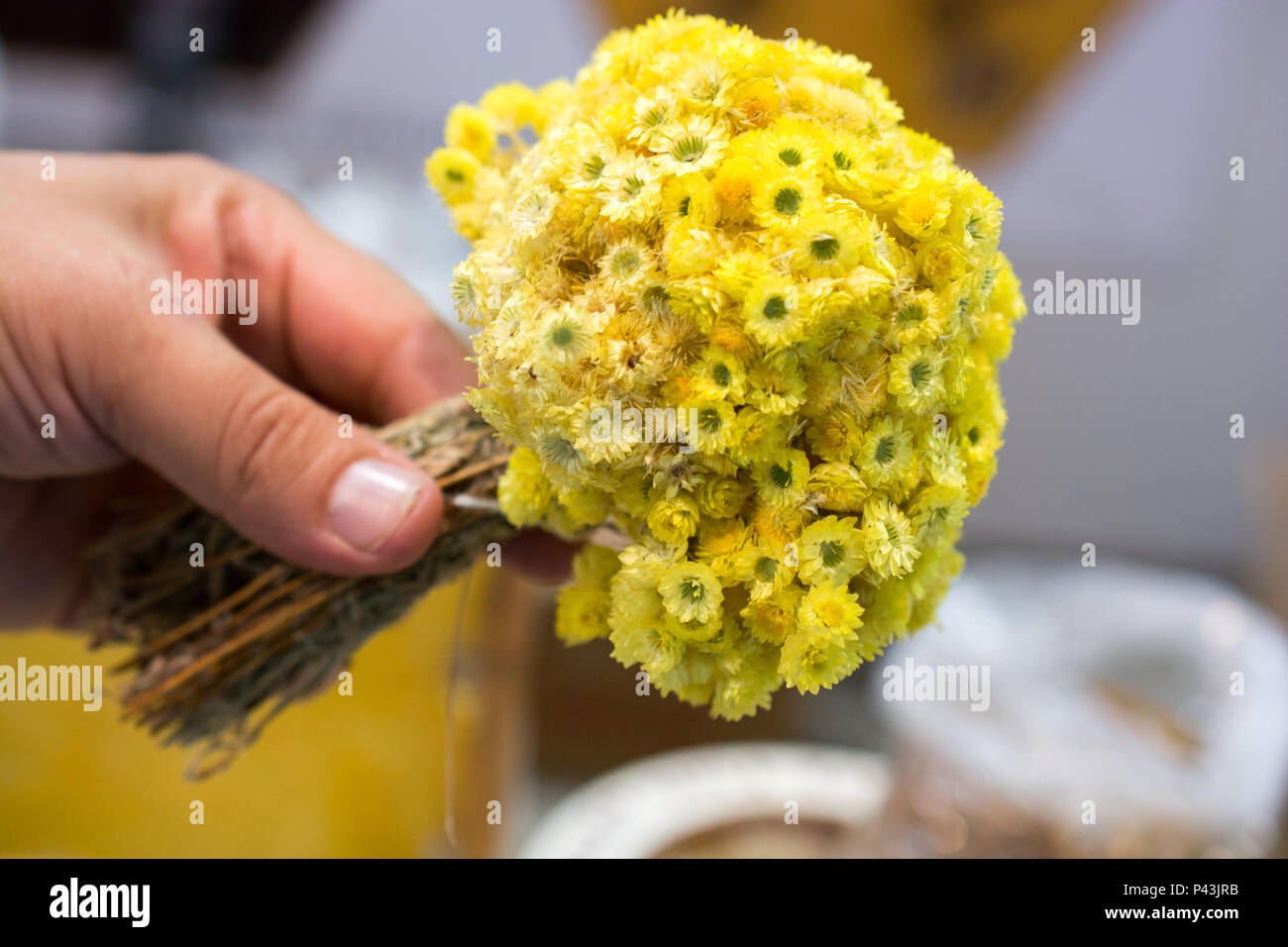 Beautiful colorful natural flowers in dry form Stock Photo - Alamy