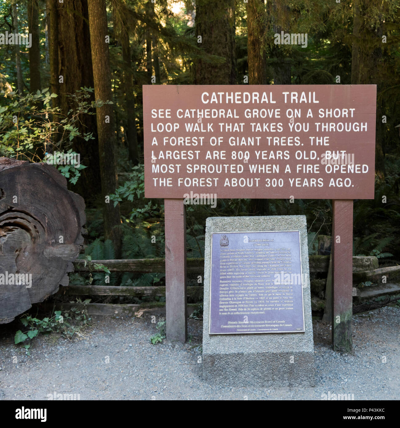 Close-up of signboard, Cathedral Grove MacMillan Provincial Park Trail ...