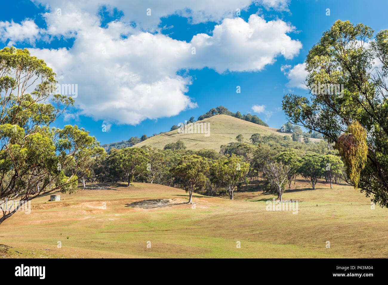 View of the countryside in the Upper Hunter Valley, NSW, Australia ...
