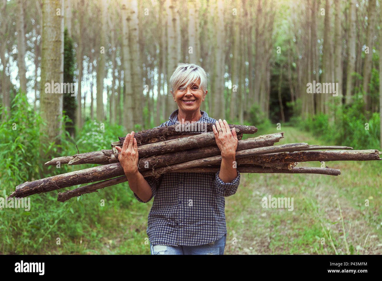 Carry tree trunks hi-res stock photography and images - Alamy