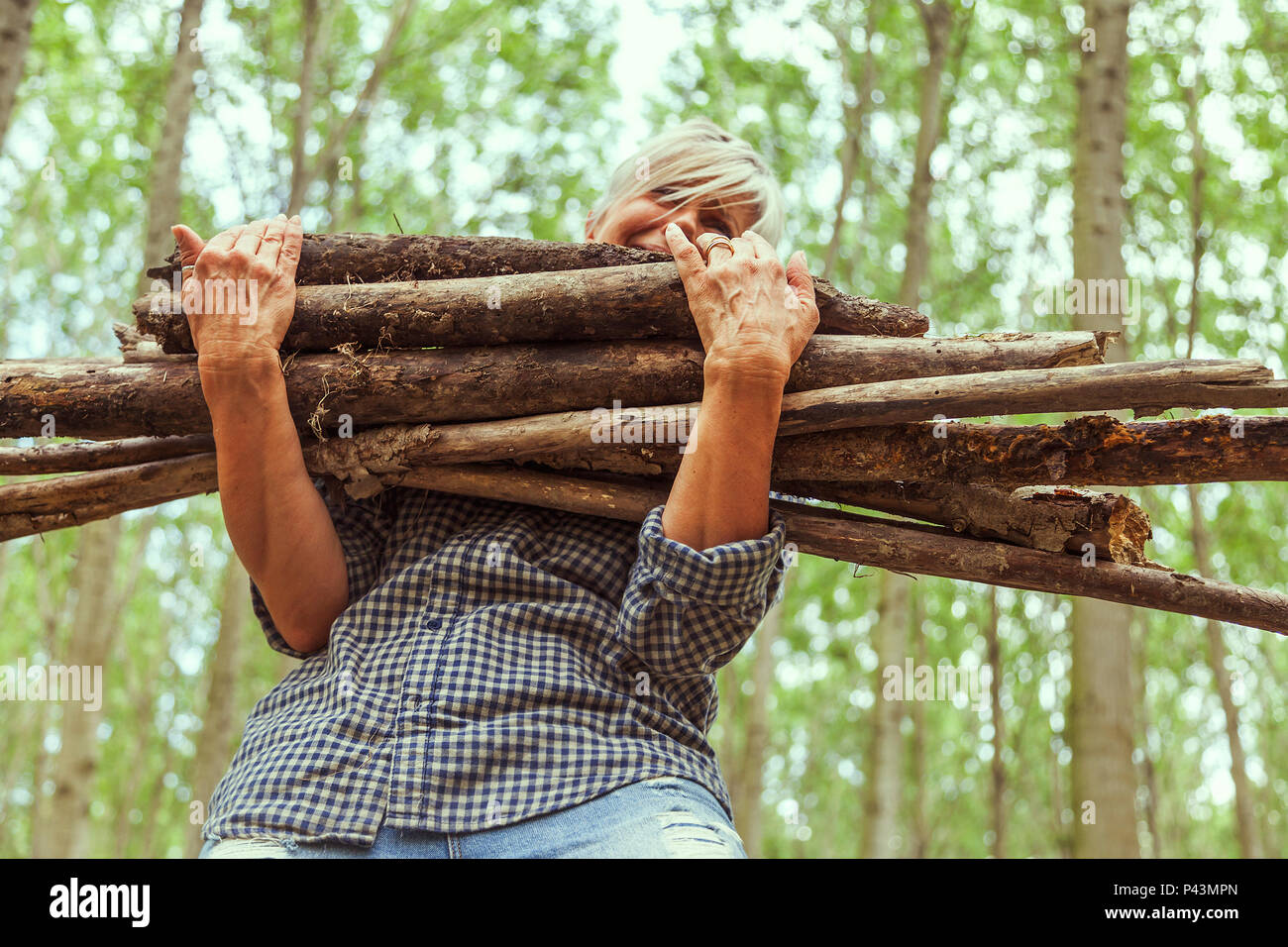Carry tree trunks hi-res stock photography and images - Alamy