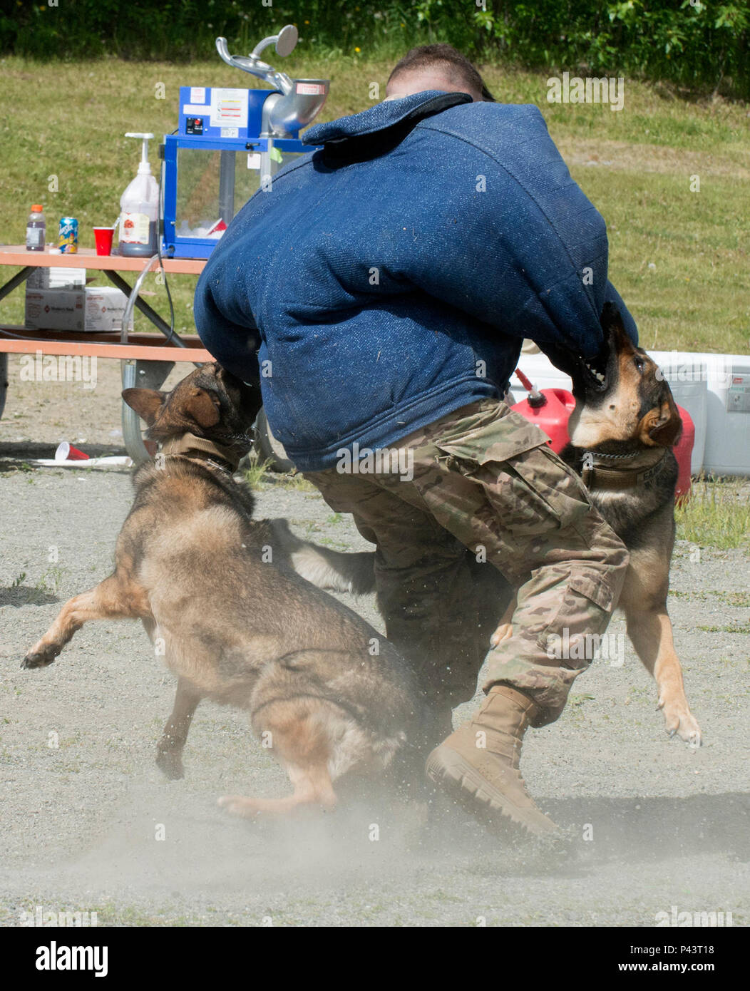 Are Police Dogs Trained To Release On Command