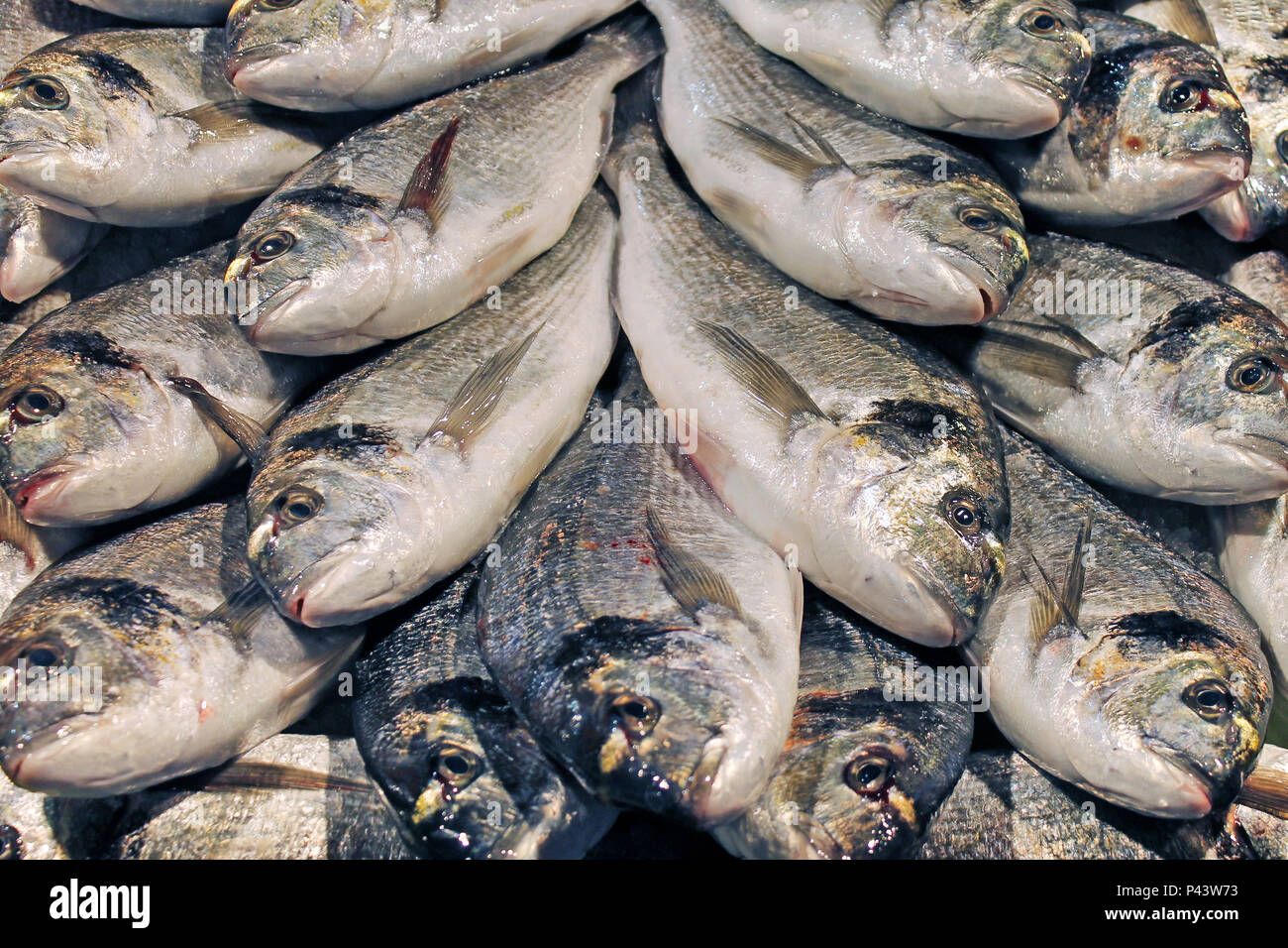 Bream for sale at a traditional fish market Stock Photo - Alamy