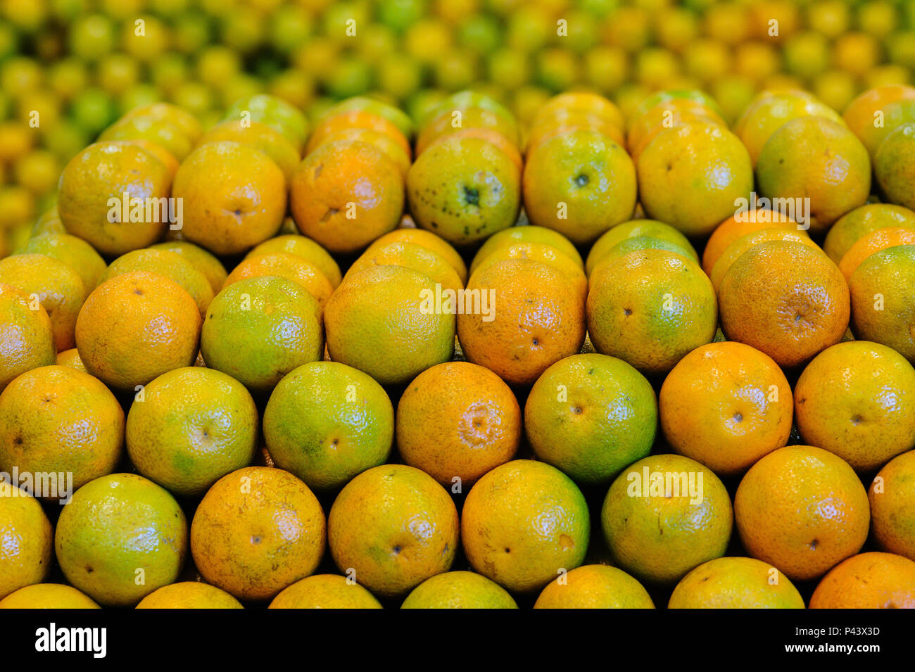 Laranja durante Frutas. SÃƒO PAULO/SP, Brasil 18/10/2010. (Foto: David ...