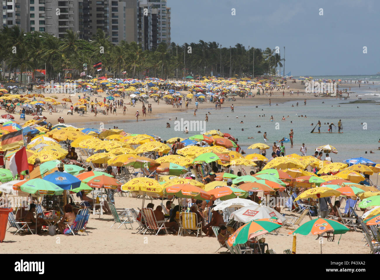 Foto boa hi-res stock photography and images - Alamy