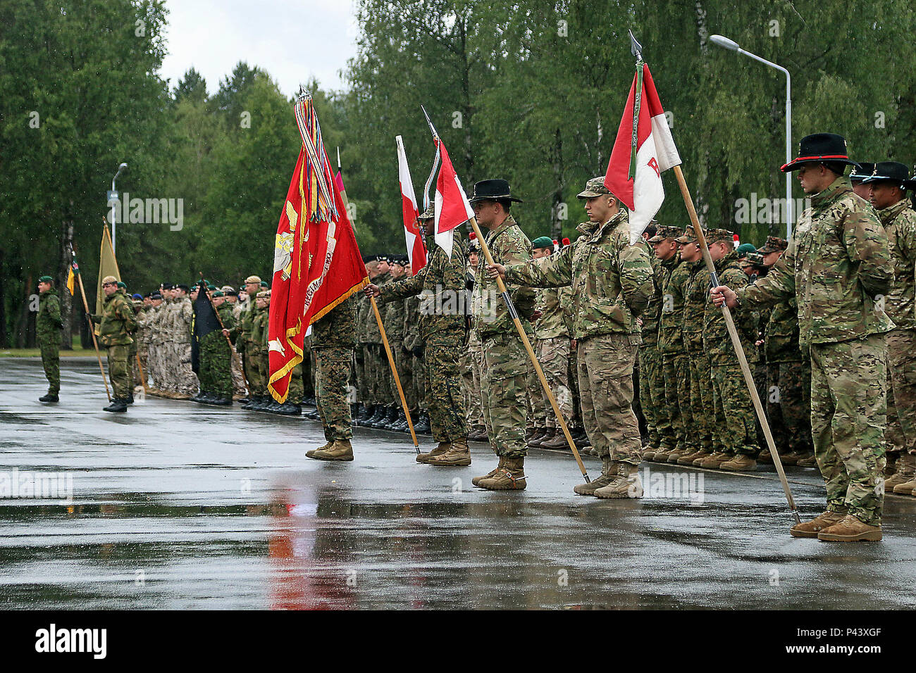 Soldiers and Marines from six North Atlantic Treaty Organization allies ...