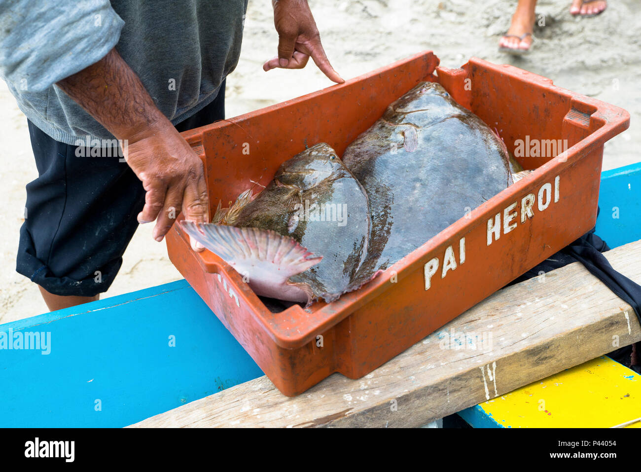 Rede de pesca hi-res stock photography and images - Alamy