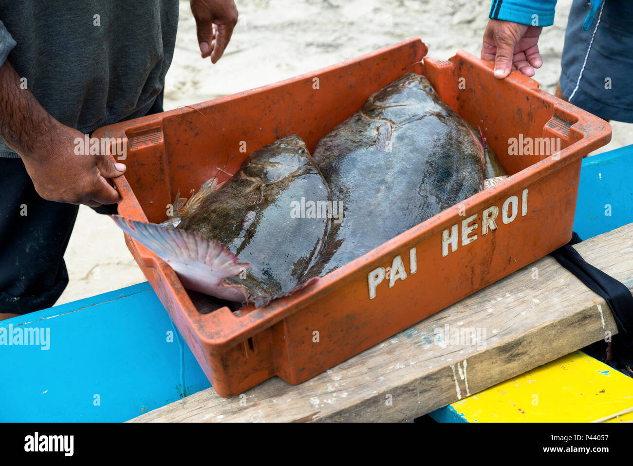 Rede de pesca hi-res stock photography and images - Alamy