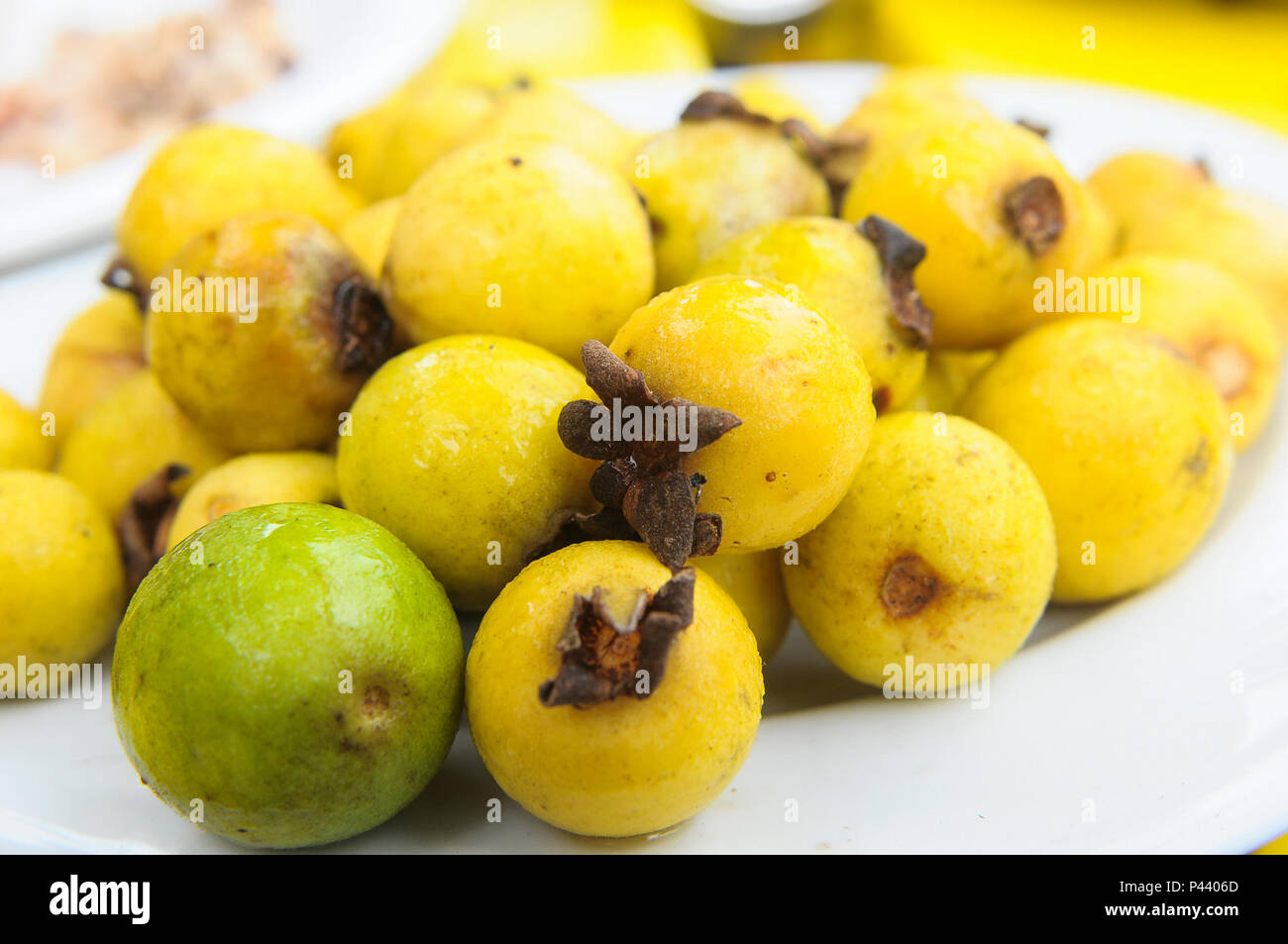 Tupi Guarani High Resolution Stock Photography and Images - Alamy