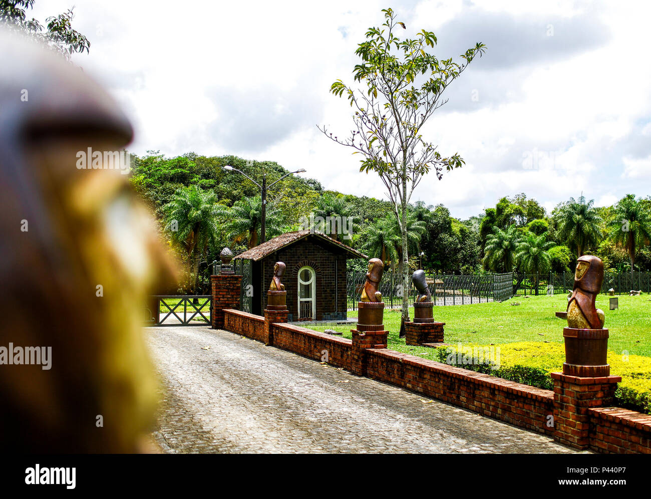 Maior escultor vivo do Brasil, o pernambucano Francisco Brennand tem ...