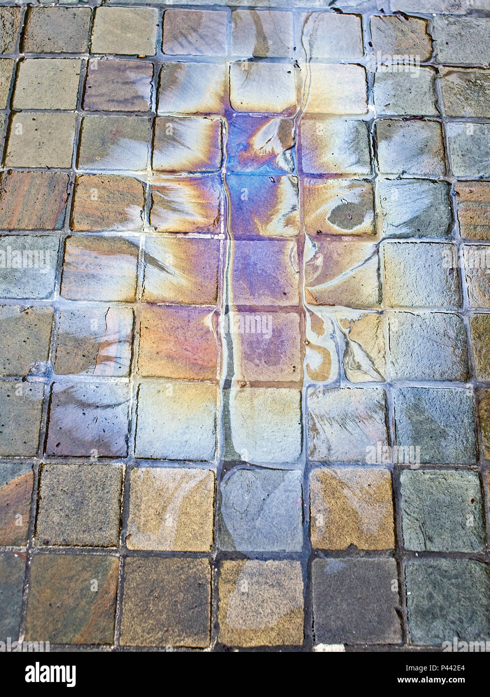 Oilspill hi-res stock photography and images - Alamy