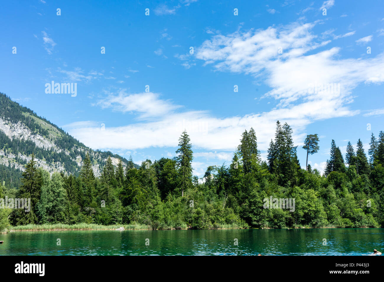 crestasee or lake cresta with mountain and forest view in flims ...