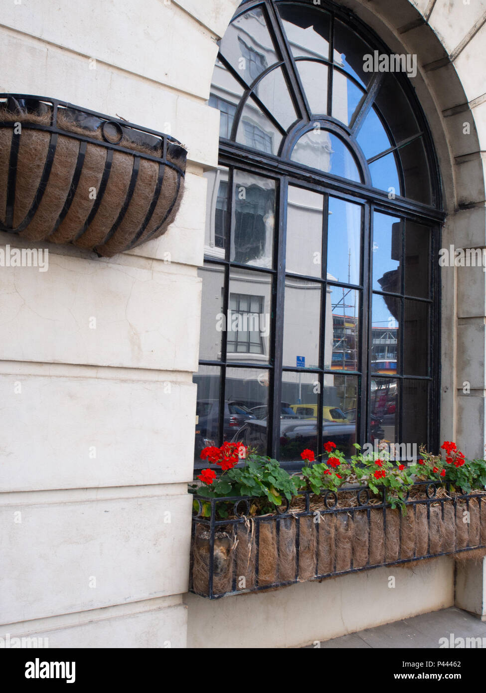 Plants planter hi-res stock photography and images - Alamy