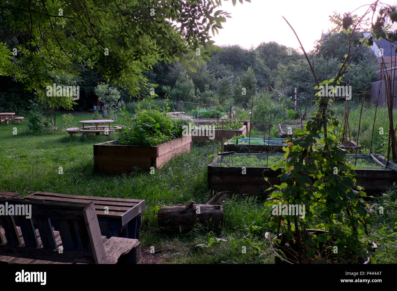 Communal allotment hi-res stock photography and images - Alamy