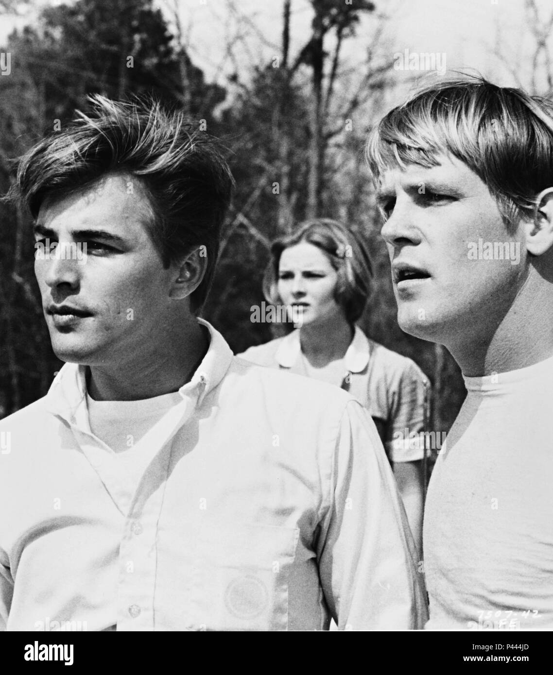 Original Film Title: RETURN TO MACON COUNTY. English Title: RETURN TO ...