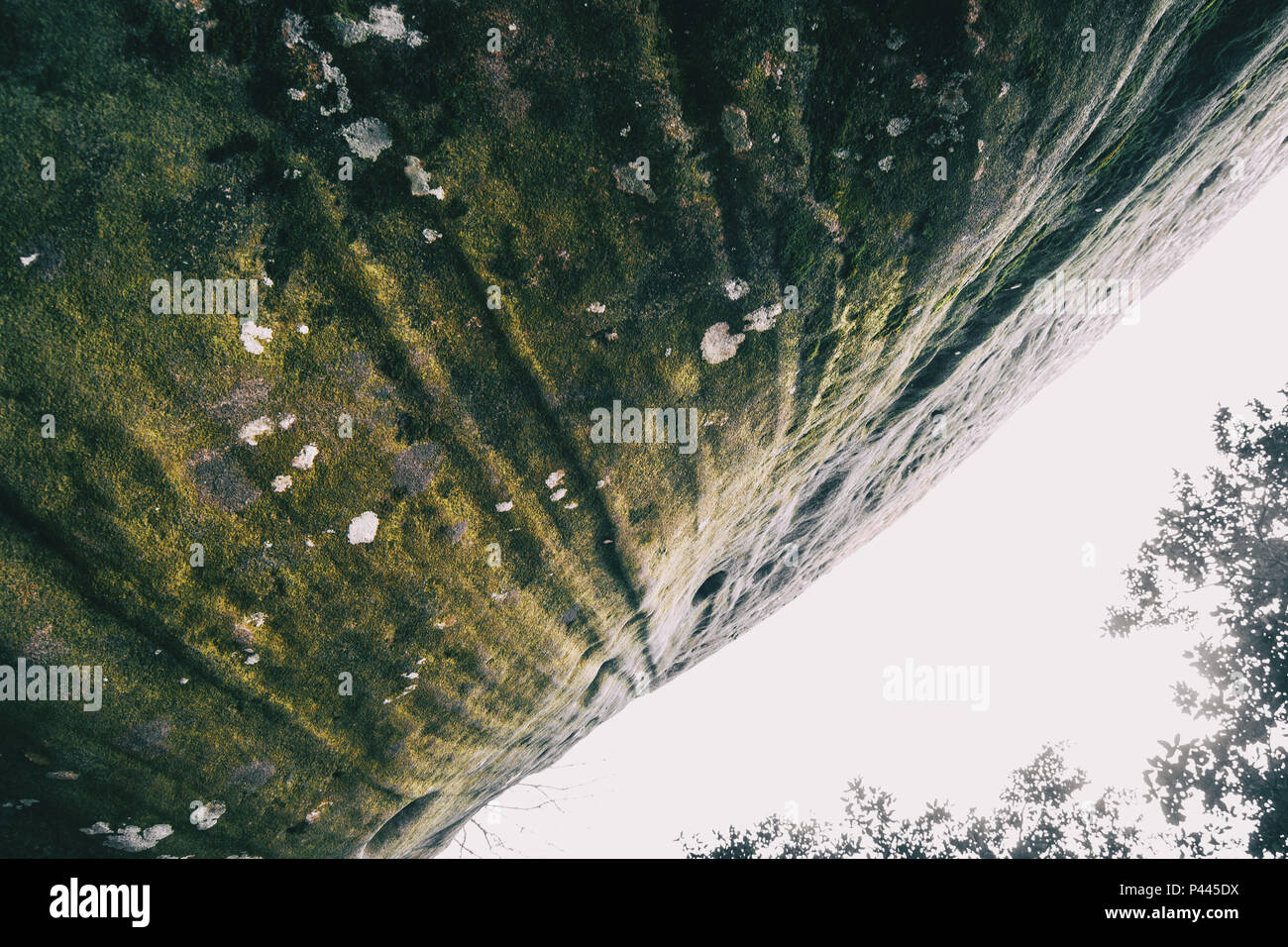 Large and smooth green stone with moss in nature Stock Photo - Alamy