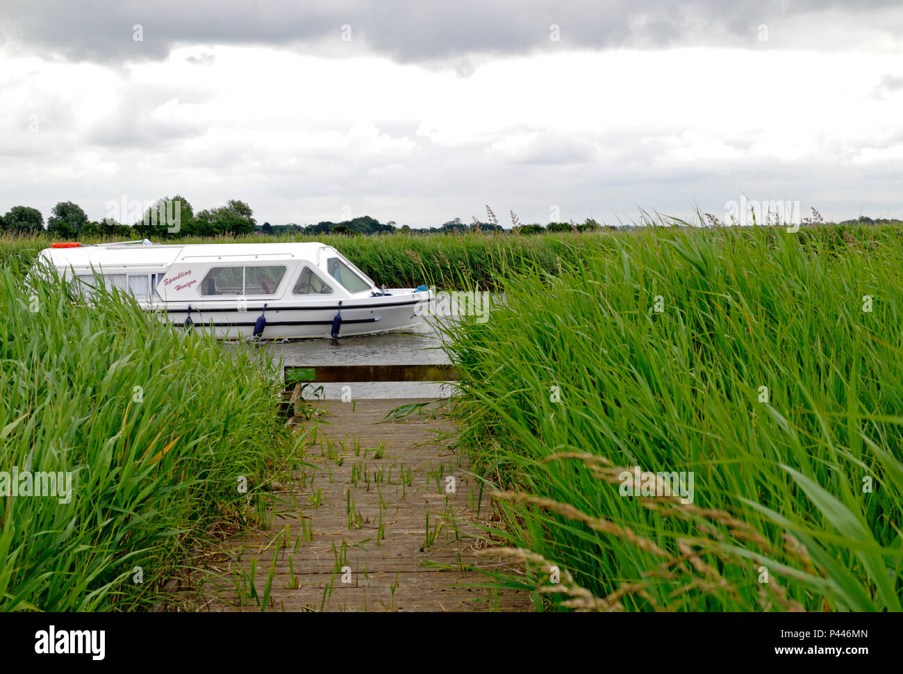 A Broads cruiser passing a fishing match peg on the River Bure on the ...