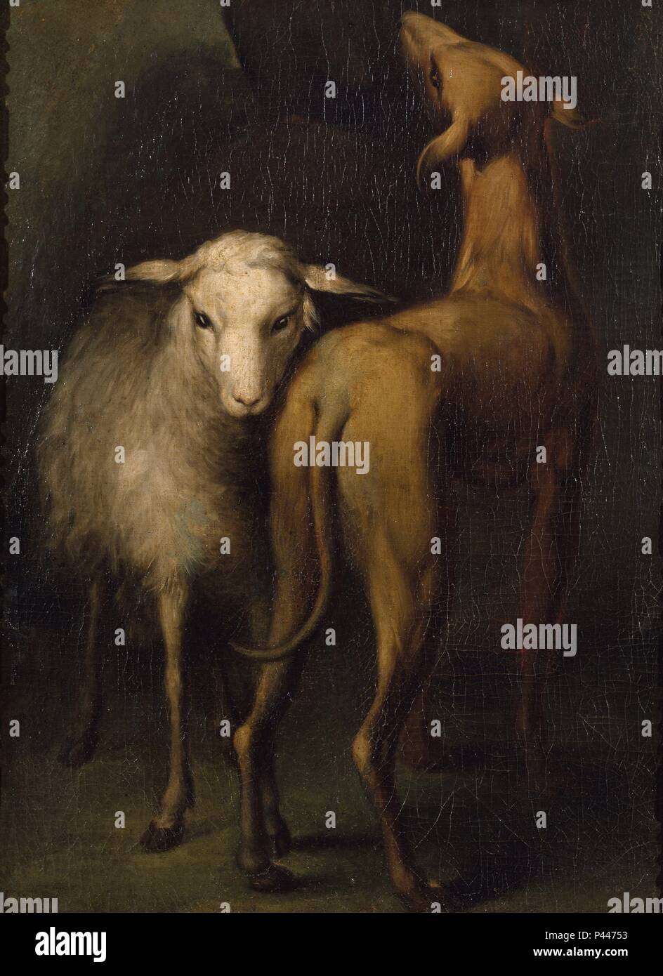 Oveja y perro hi-res stock photography and images - Alamy