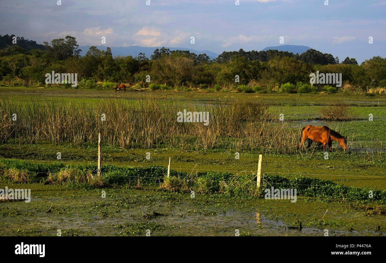 No 10 de 11 foto hi-res stock photography and images - Alamy